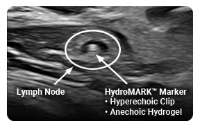 Radiology, News, Education, Service